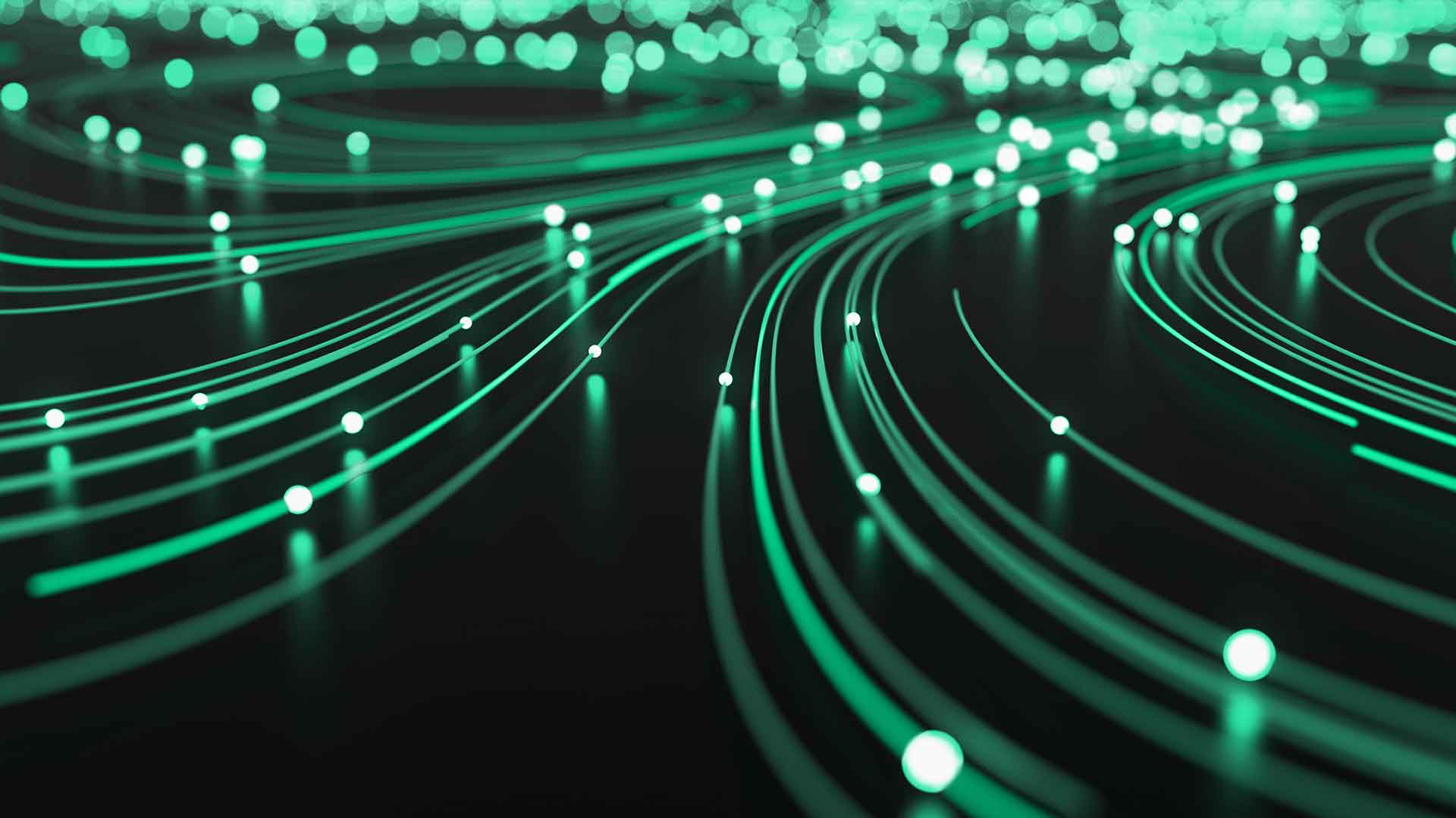 How sustainable finance creates value | Nedbank CIB